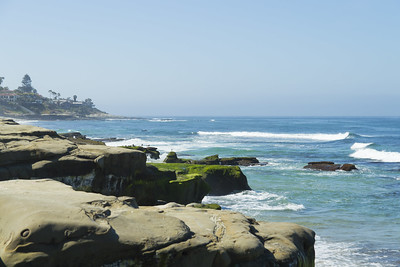 Short Story - An Unloosed Seuss? - 500 Ironic Stories