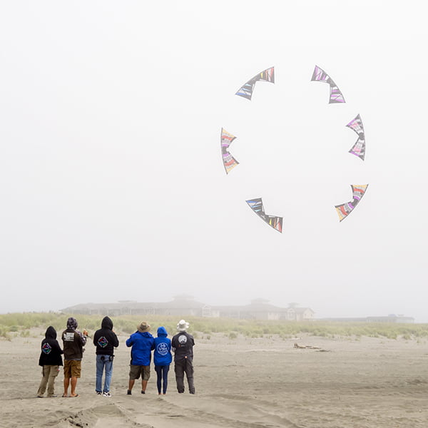 Kite Fall - Funny Story - 500 Ironic Stories